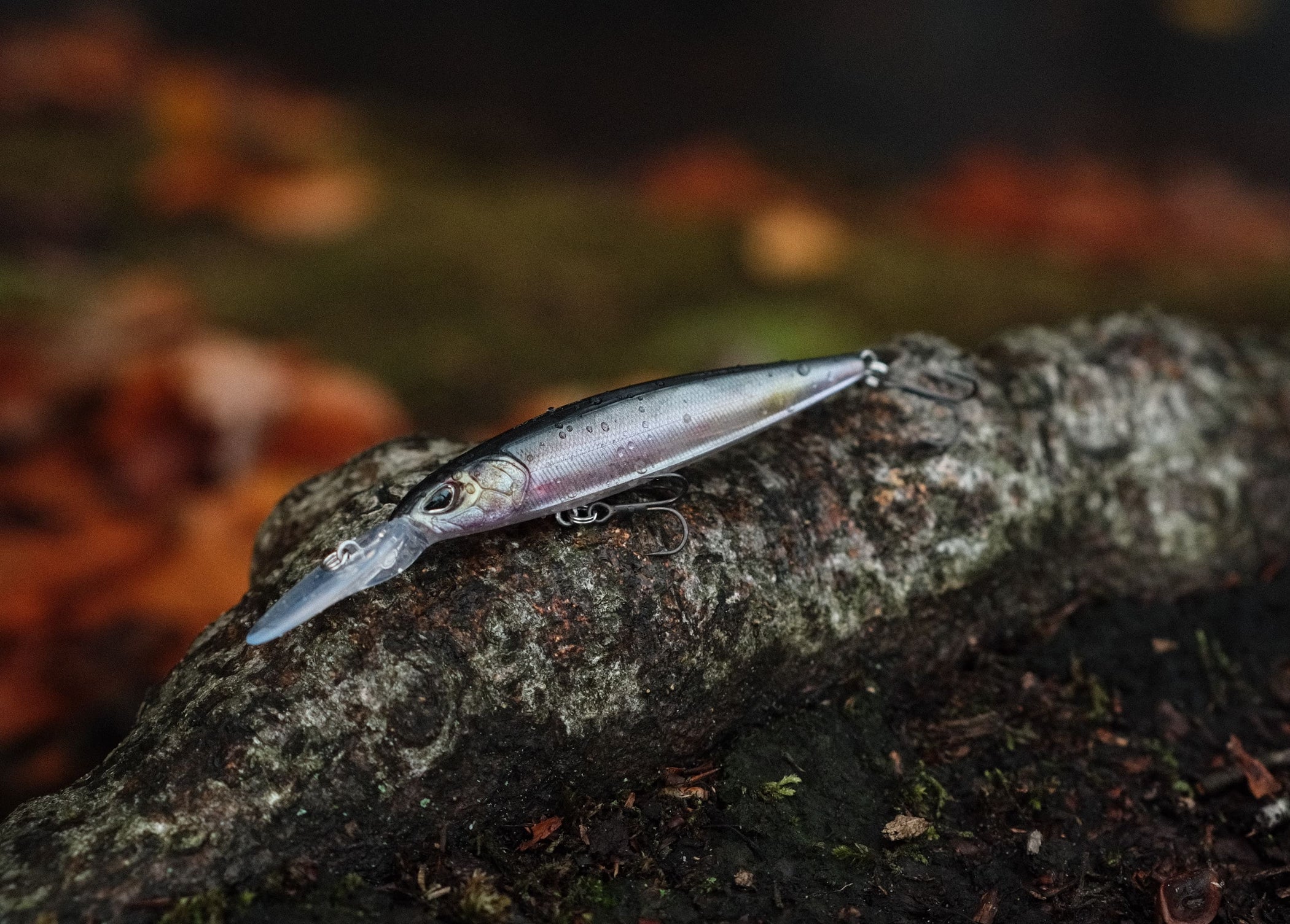 Buy Hard Baits & Hard Bait Lures online | Nays