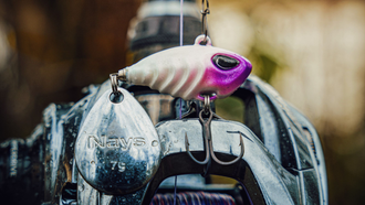 Sammlungs-Archiv | Nays